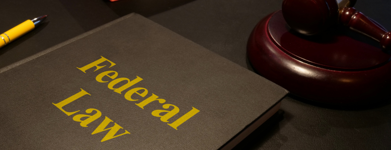 Federal Crimes Defense Lawyer - Law Offices Of Justin E. Sterling